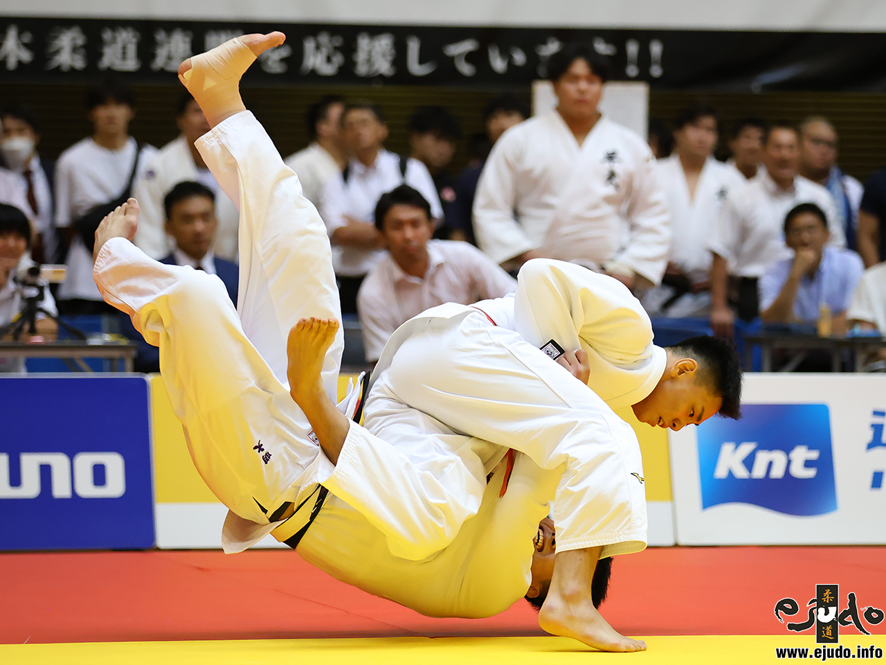 【レポート】新井道大、全試合一本勝ちで2連覇達成／2023年全日本ジュニア体重別選手権大会・男子100kg級 | eJudo