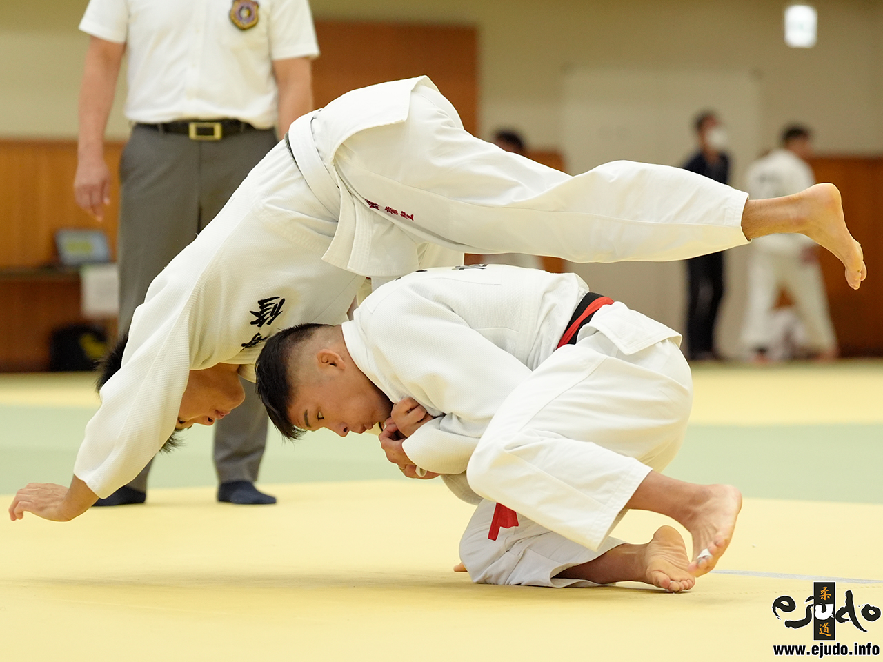 【レポート】大島優磨が3連覇、73kg級は新人佐藤大知が圧勝V／第54回全日本実業柔道個人選手権大会 男子①(60kg級～81kg級) | eJudo