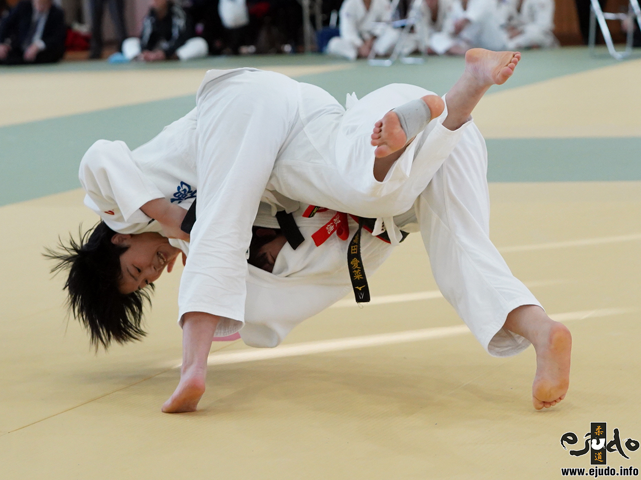 【ニュース】小松、岩田ら強力メンバー擁する修徳が優勝、2季連続の全国切符掴む／第47回全国高等学校柔道選手権大会・東京都予選 女子団体試合 | eJudo