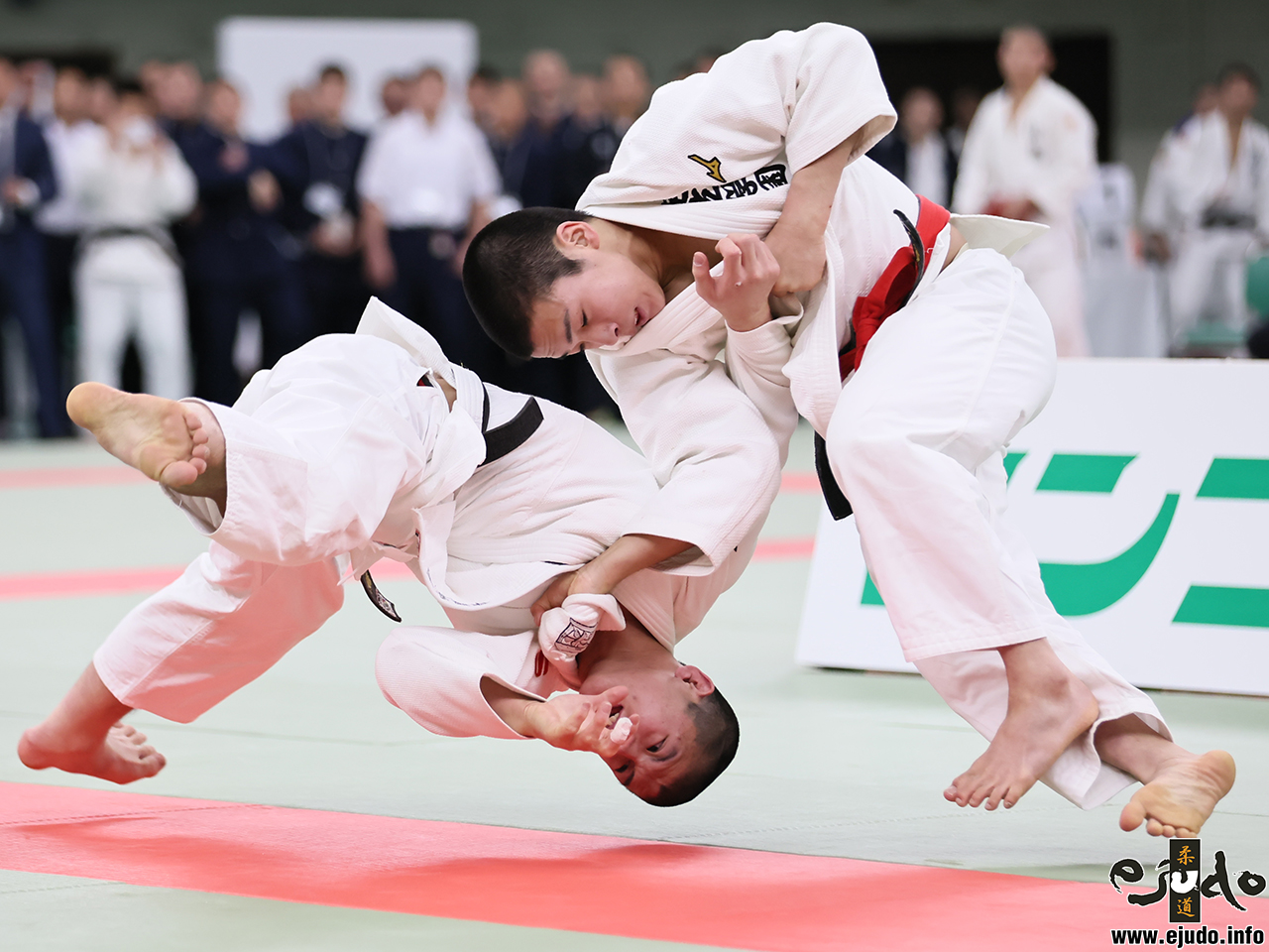 【レポート】嶋貫蓮が圧勝、段違いの地力見せつける／第47回全国高等学校柔道選手権大会・男子66㎏級 | eJudo