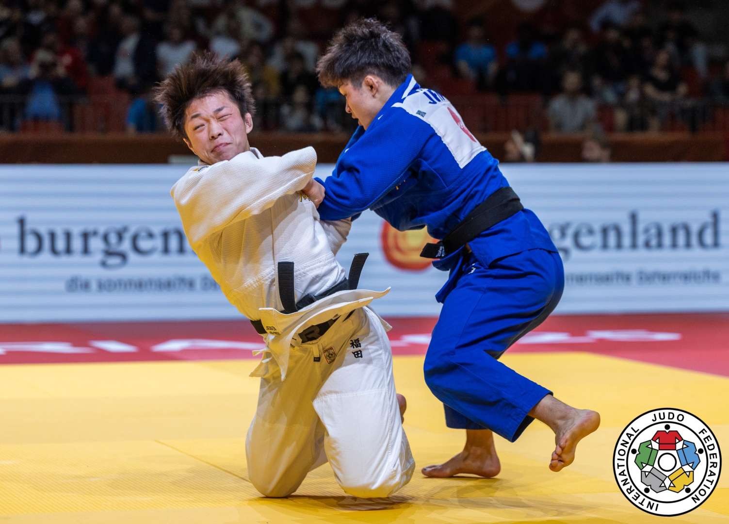 【eJudo’s EYE】男子日本代表選手採点表／グランプリ・アッパーオーストリア2025 | eJudo